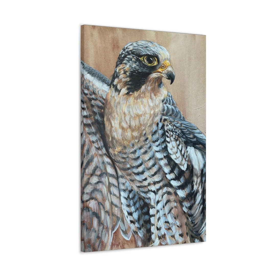 Falcon Canvas Print, Falconry Wall Art, Nature Inspired Art Prints - Etsy