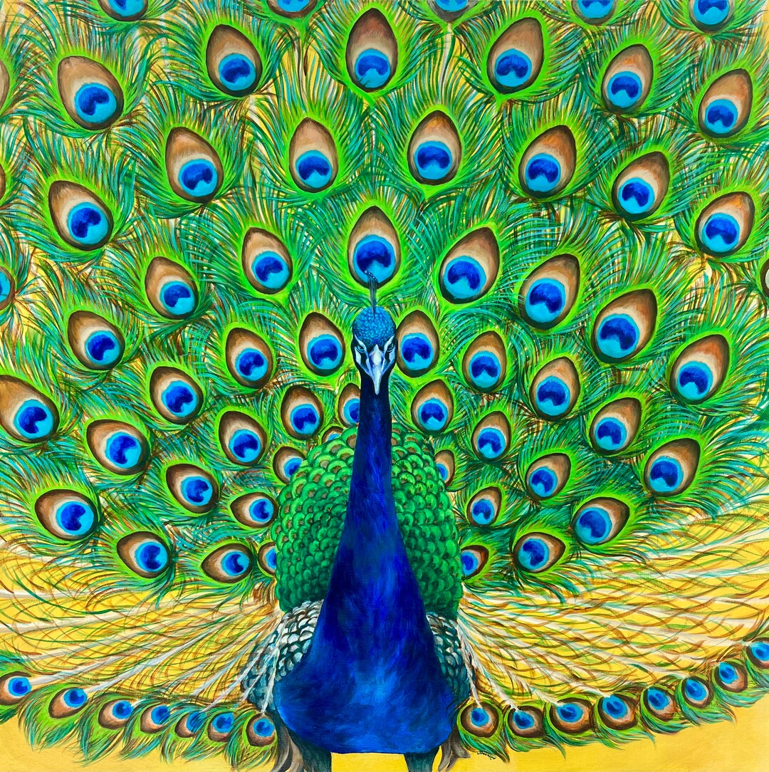 Peacock Paper Print, Vibrant Peacock Spirit Animal Wall Art - Etsy