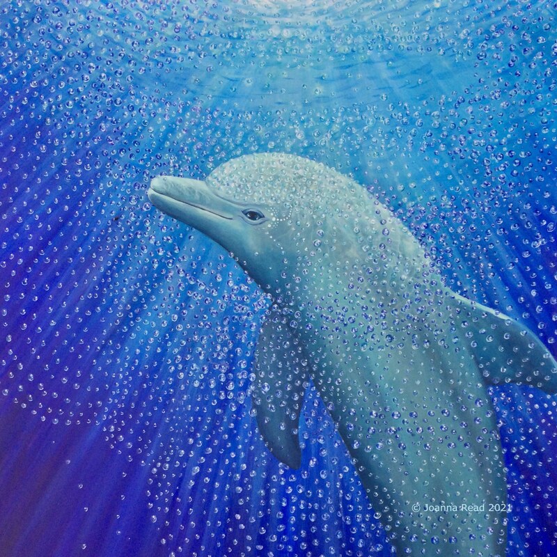 Dolphin Painting - Etsy