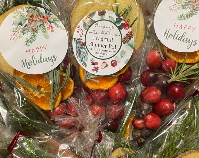 9 OZ. WINTER SOLSTICE Simmer Pot Potpourri Simmer Pot Potpourri All ...