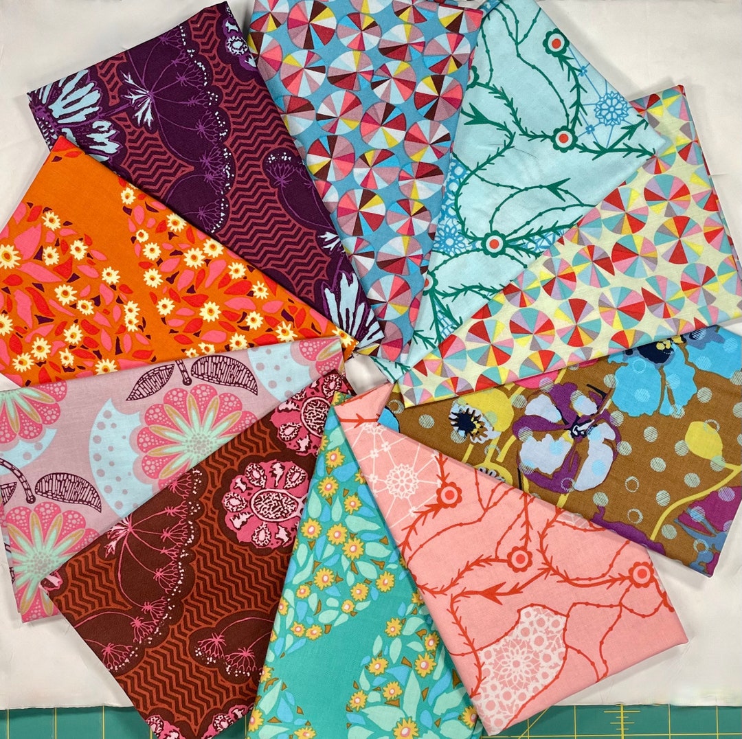 Field Study No. 1 Anna Maria Horner Fabric 10 Piece Set OOP HTF - Etsy