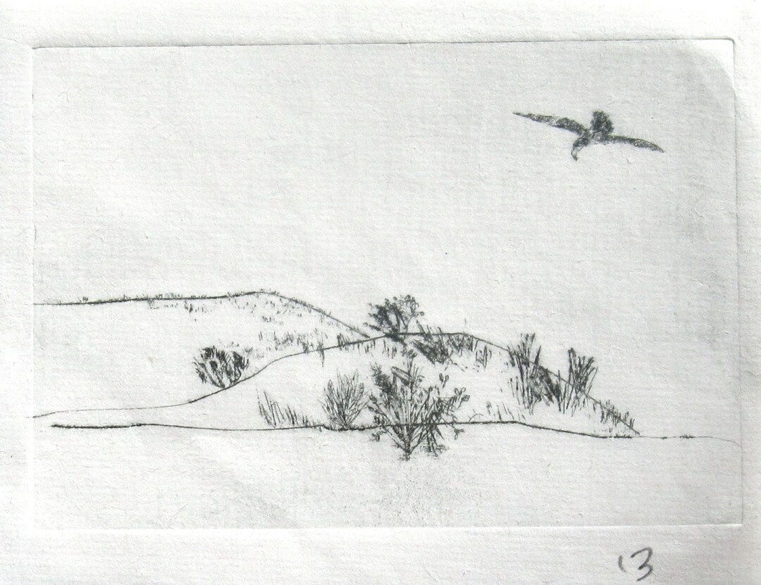 Drypoint Print: Desert Scene, Bird Flying Over Brush - Etsy
