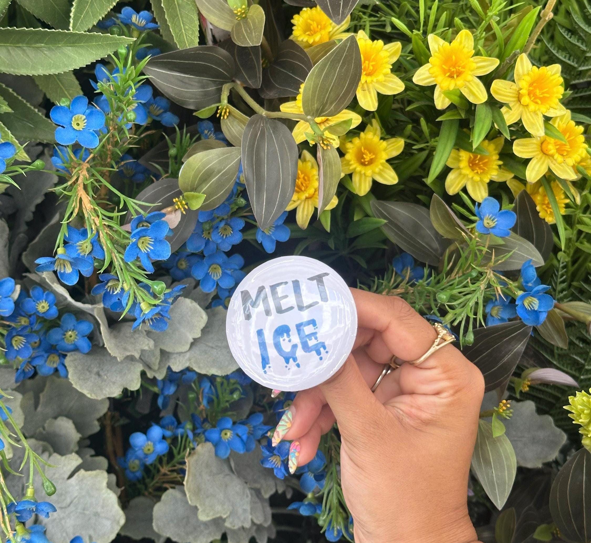 MELT ICE Button – Hand-written Anti-ice Protest Pin, Immigration ...
