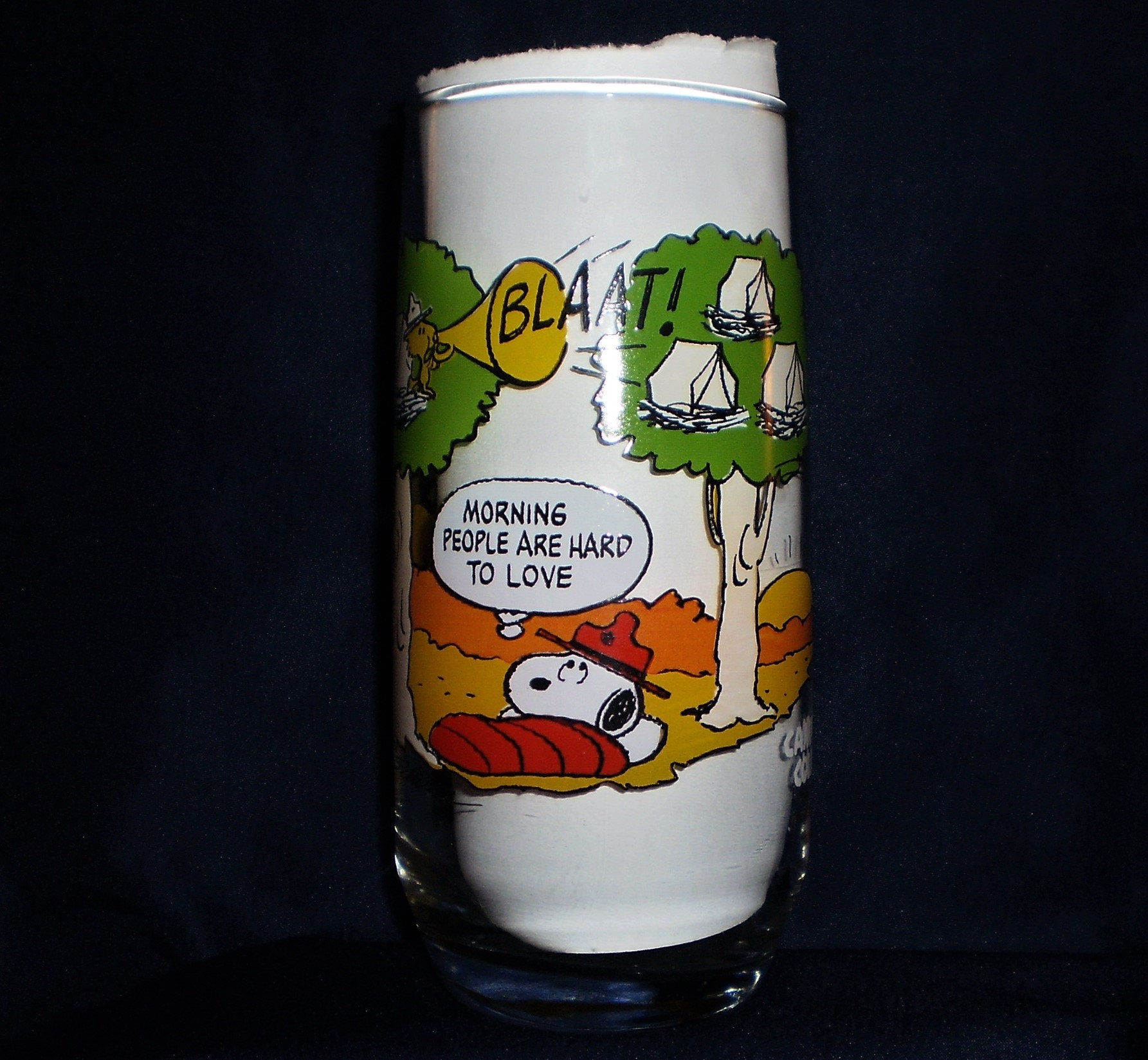 Charlie Brown Camp Snoopy Glasses - Etsy