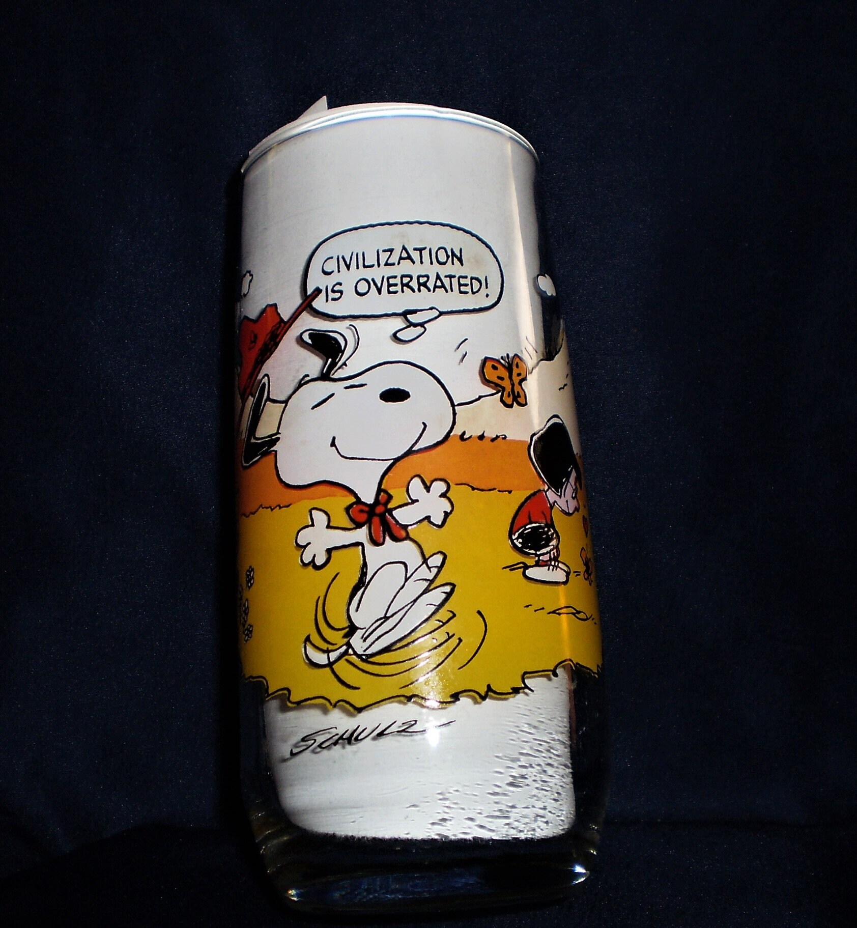 Charlie Brown Camp Snoopy Glasses - Etsy