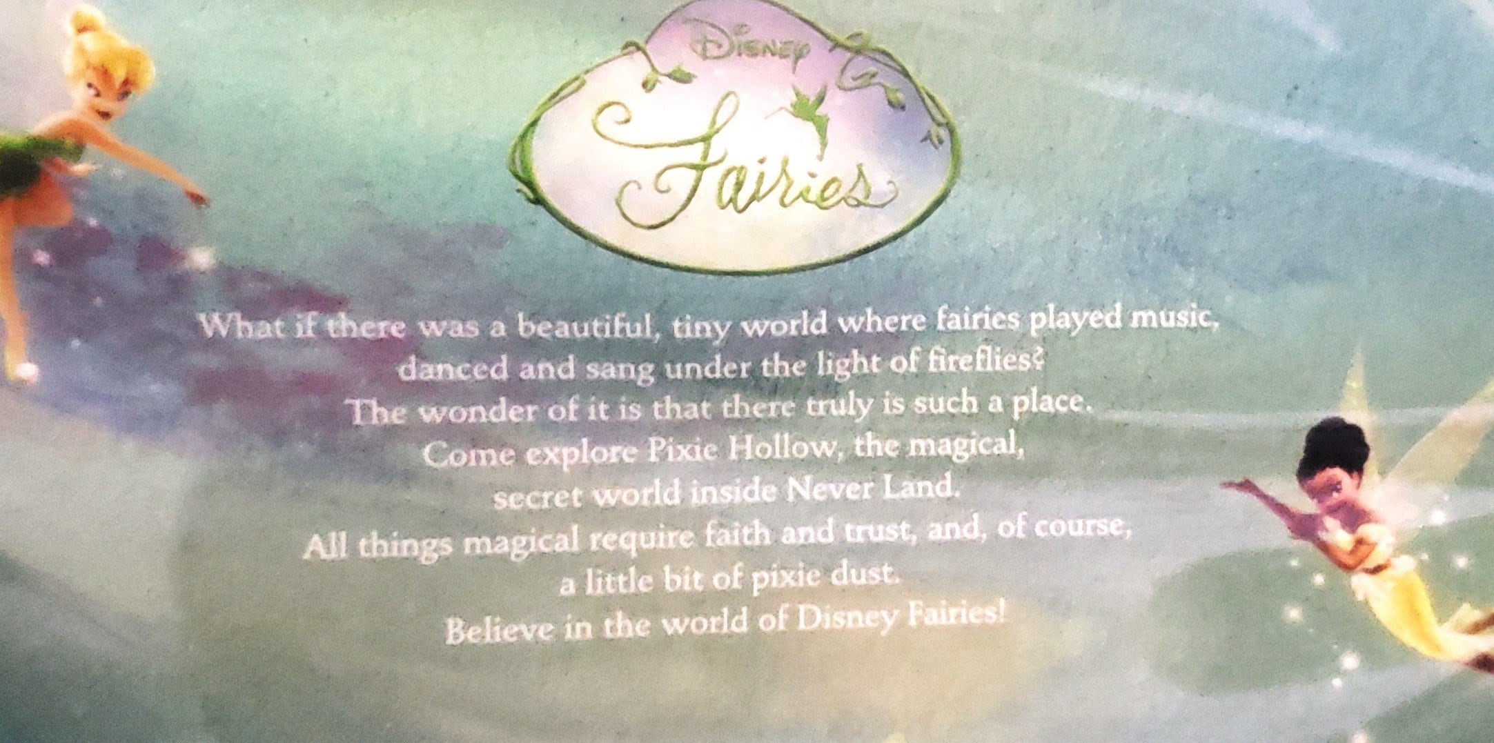 Disney Tinkerbell & Friends, Fairies Set - Etsy