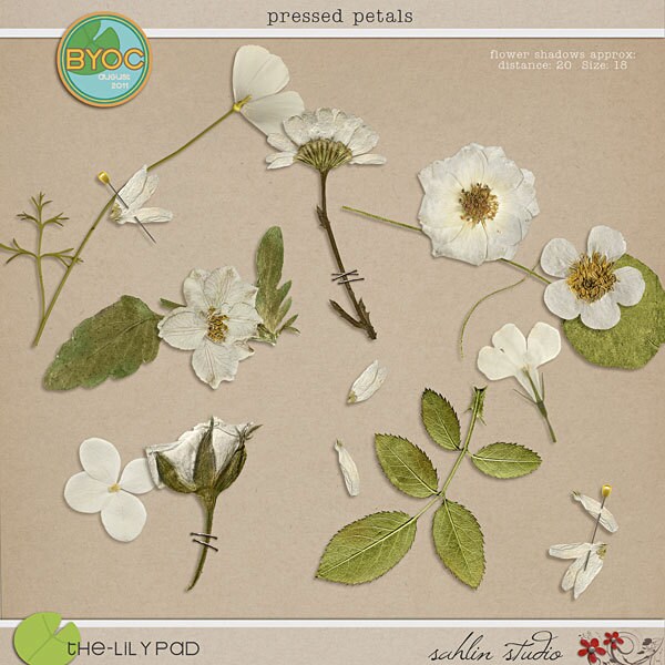 Pressed Flower Kit Etsy