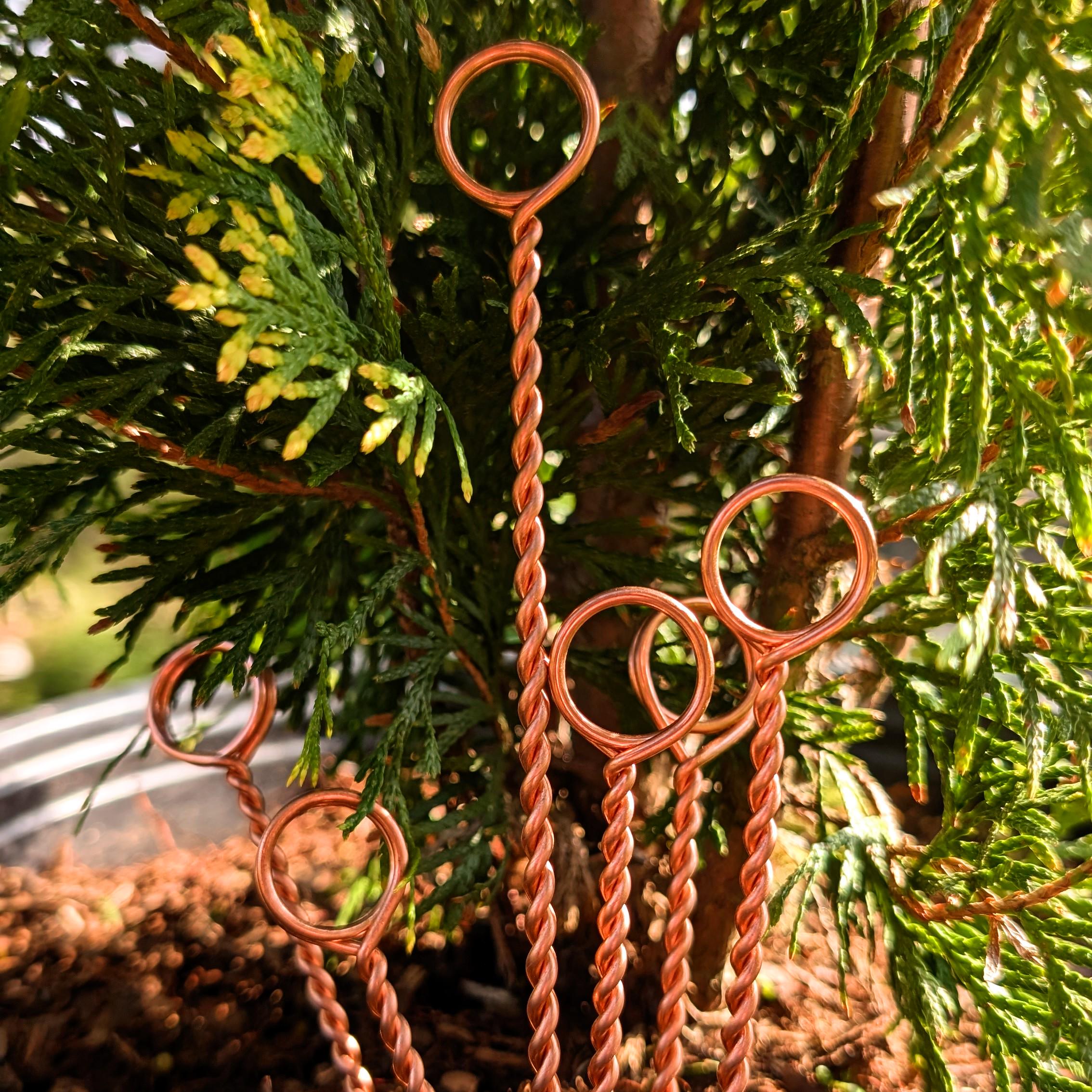 Rustic Copper Garden Stakes - Reusable and Electroculture Friendly ...
