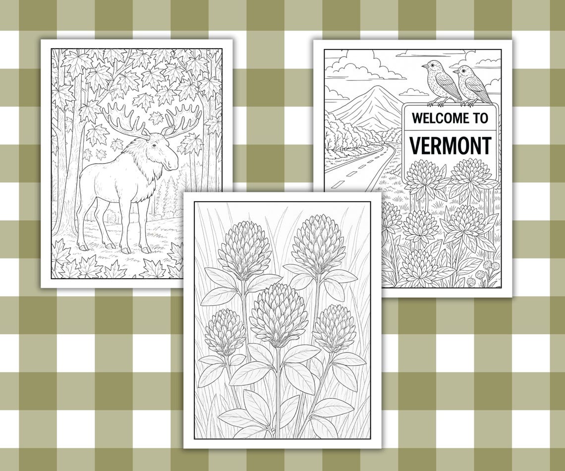 Vermont Coloring Page Printable Instant Download | State Adult and Kids ...