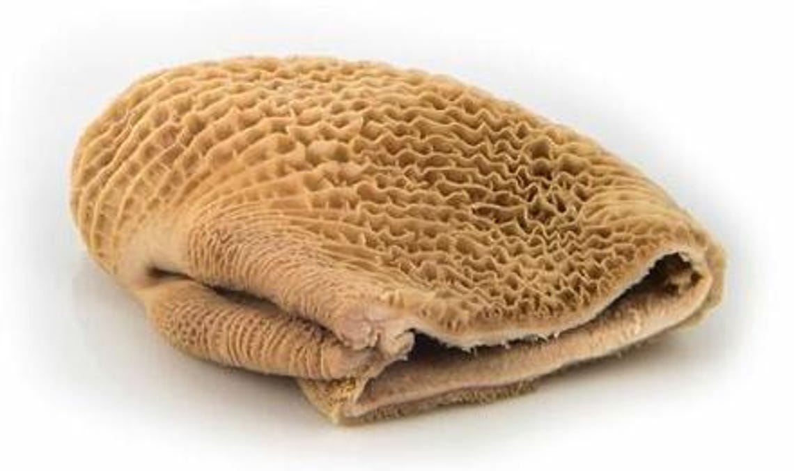 Honey Comb Tripe 2 Kg -/+10% (cow) - Etsy UK