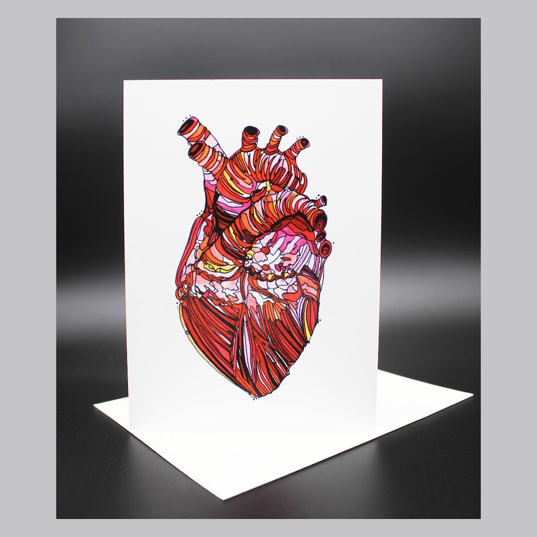Anatomical Heart Greeting Cards Set of 5 or 10 Medical Thank You Cards ...