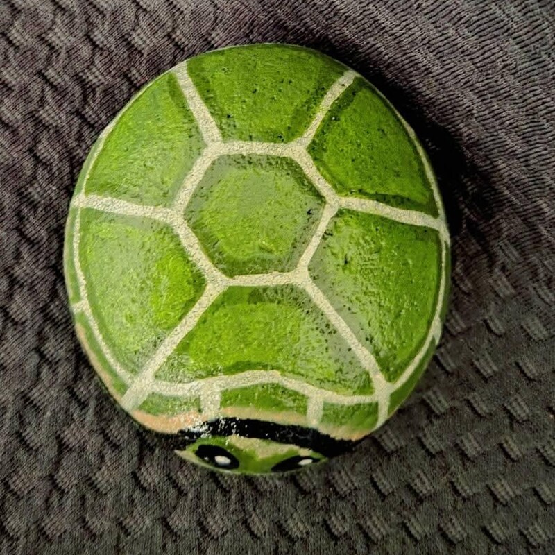 Painted Turtle Rock - Etsy