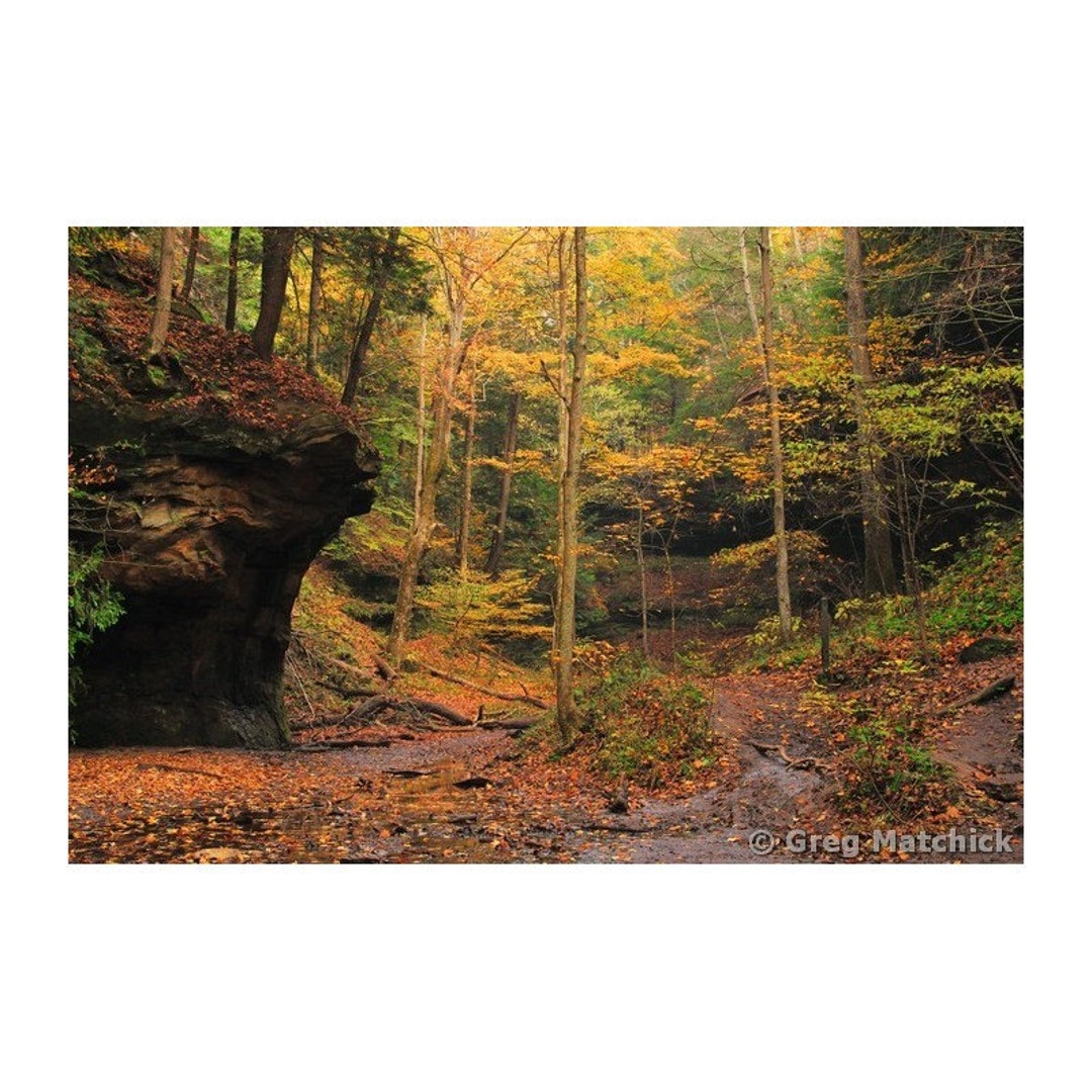 Fine Art Color Landscape Photography of Turkey Run State Park in ...