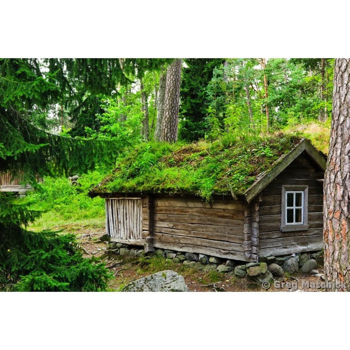 Fine Art Color Nature Photography of Old Log Hut in the Woodlands of ...