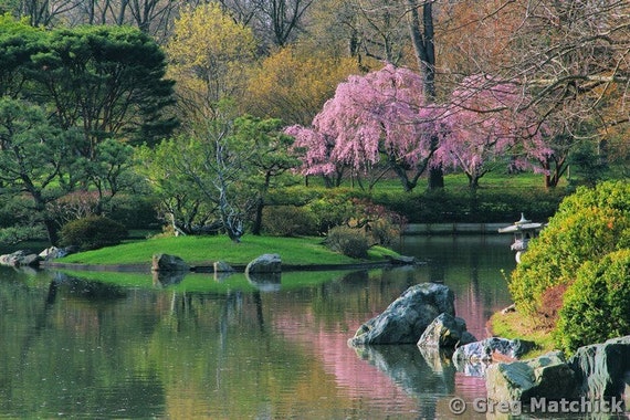 Spring Garden Landscape Photography