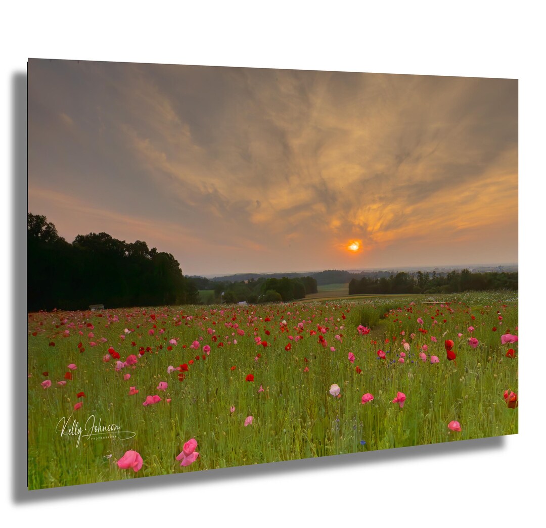 Wildflower Sunset Photography Print: Lancaster County Landscape Art - Etsy