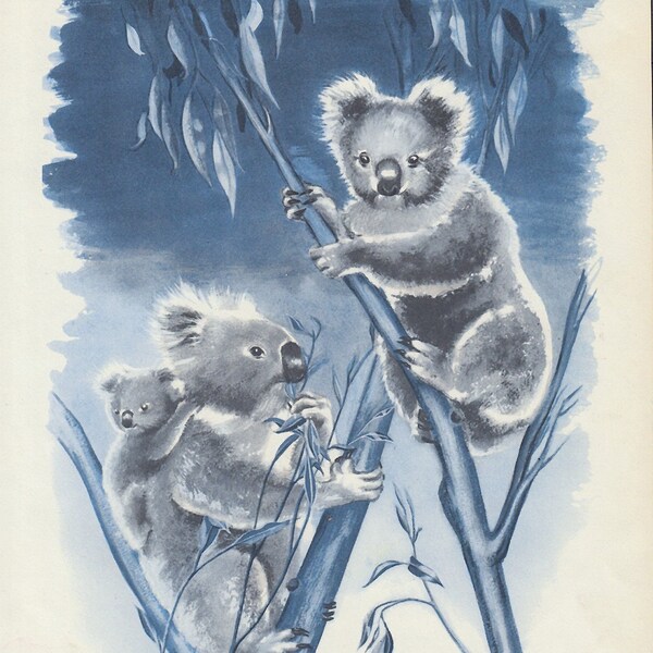 Australian Native Print - Etsy Australia