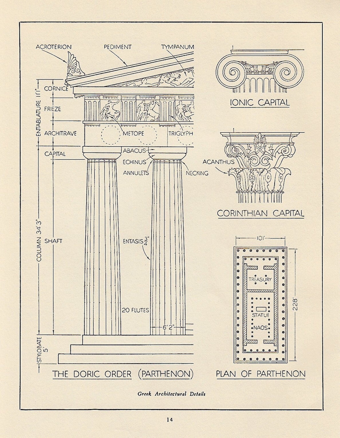 BW Diagram of Columns in Parthenon, 1950s BW Architecture Sketch of Doric Order and Ionic ...