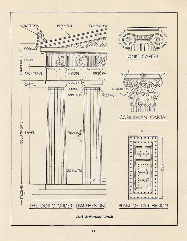 BW Diagram of Columns in Parthenon, 1950s BW Architecture Sketch of Doric Order and Ionic ...