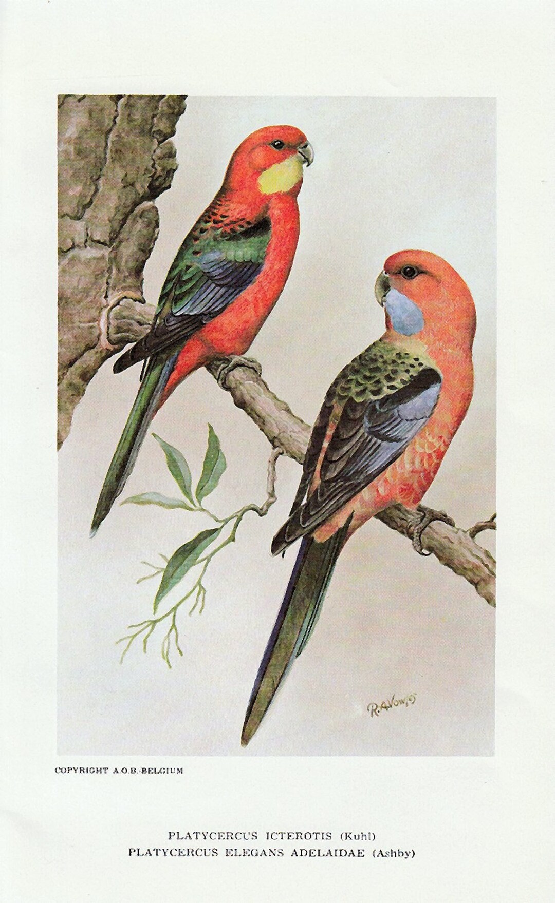 This item is unavailable - Etsy