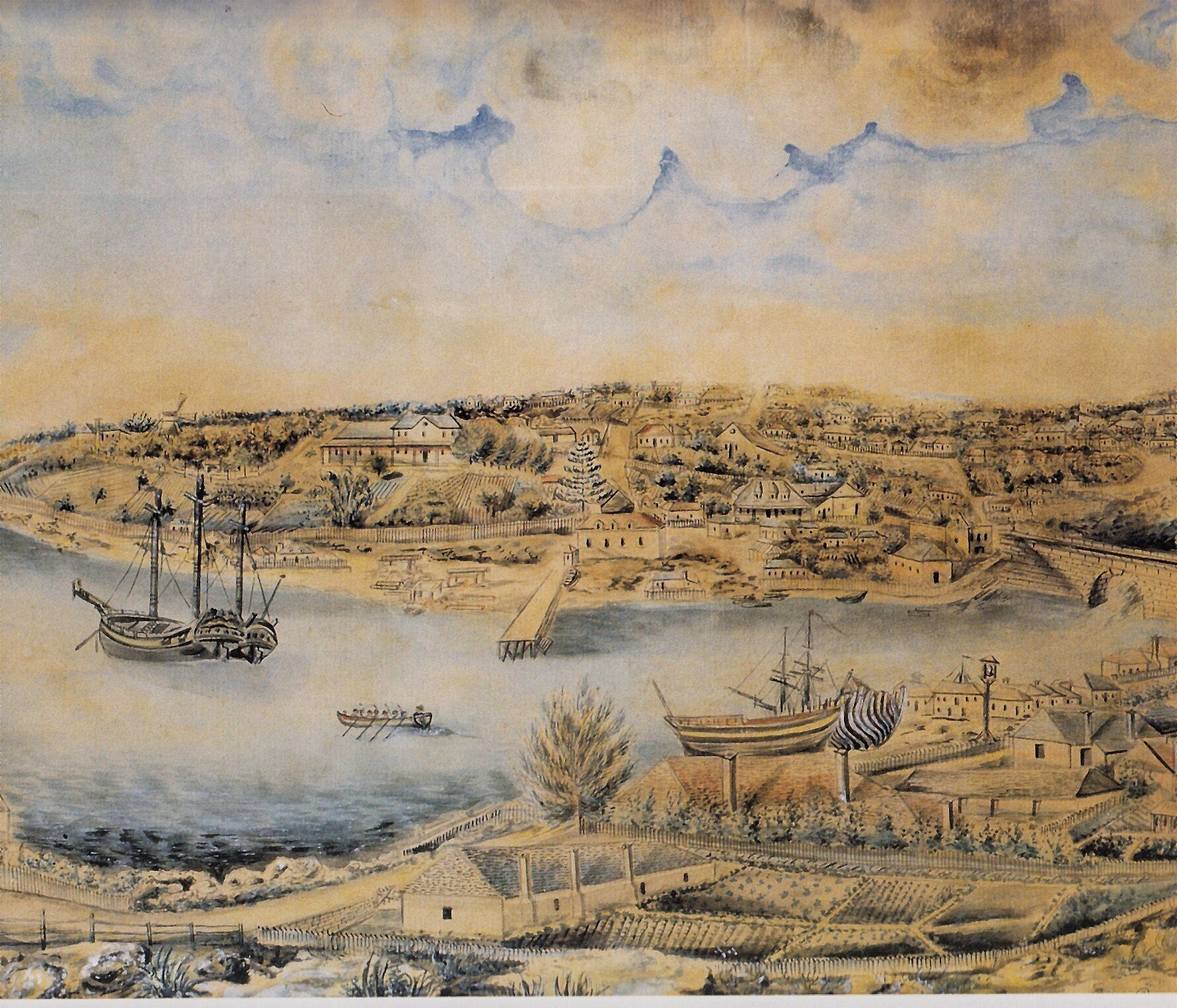 Illustration of Port Jackson Sydney Vintage Watercolour - Etsy