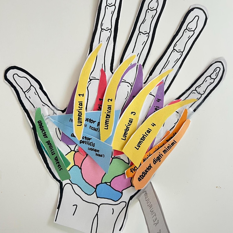 Paper Human Model - Etsy