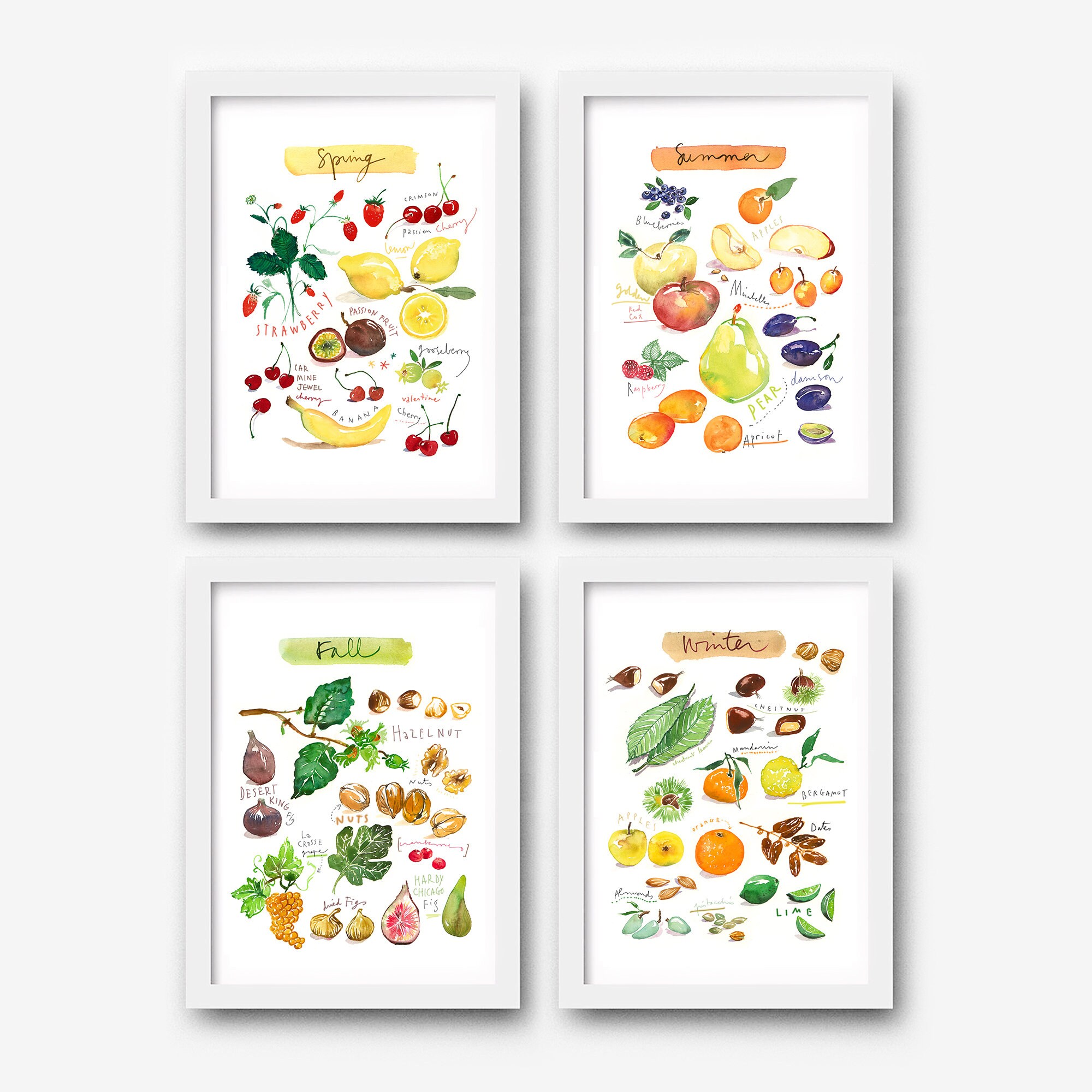 Set of 4 Fruit Prints Seasonal Food Poster Watercolor - Etsy UK