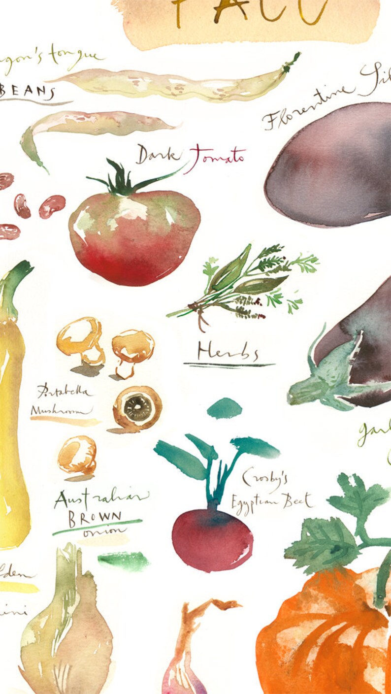 Fall vegetable art print Heirloom vegetables Watercolor | Etsy