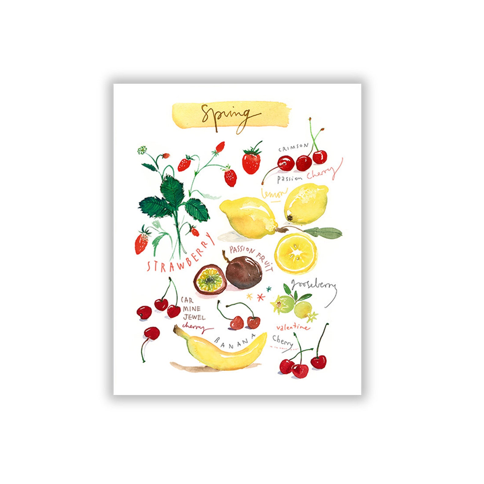 Set of 4 Fruit Prints Seasonal Food Poster Watercolor - Etsy UK