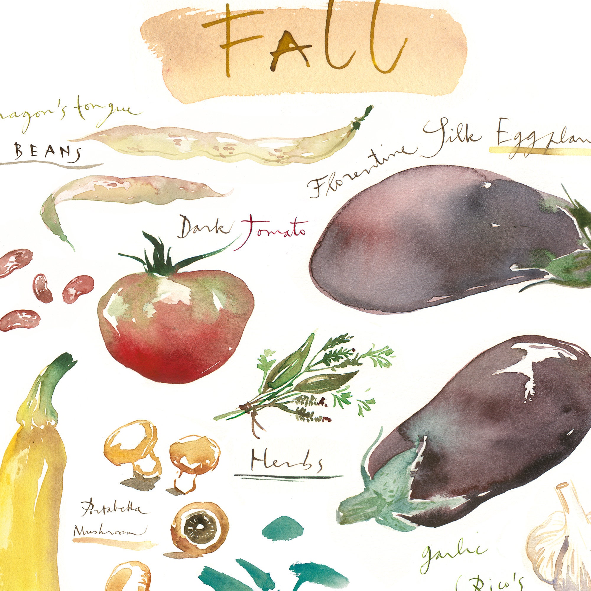 Fall vegetable art print Heirloom vegetables Watercolor - Etsy España