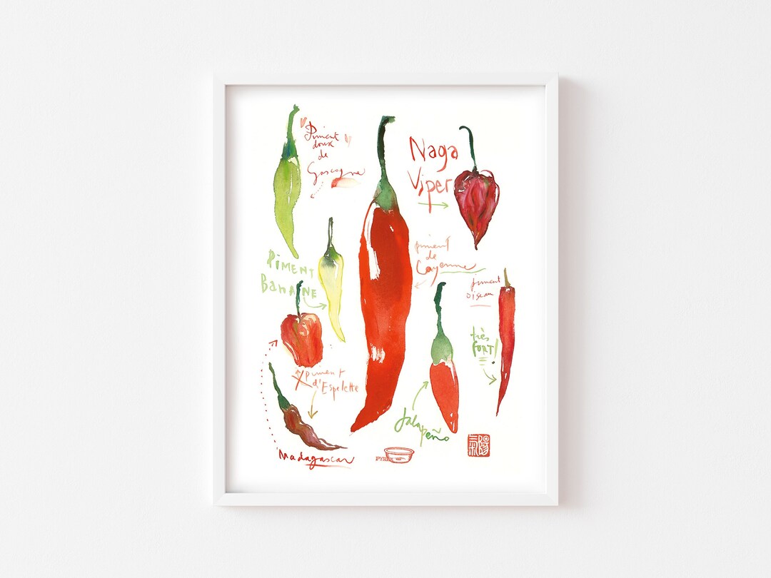 Les piments rouges, aquarelle, décor cuisine, Tex Mex, poster A4 ...