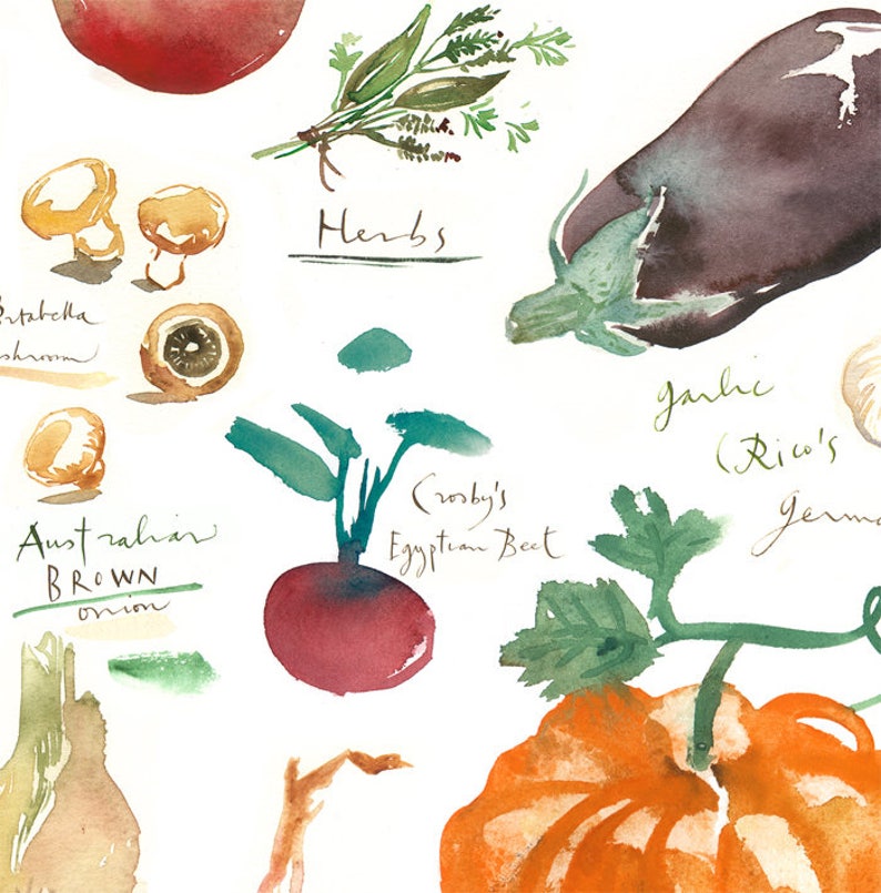Fall vegetable art print Heirloom vegetables Watercolor | Etsy