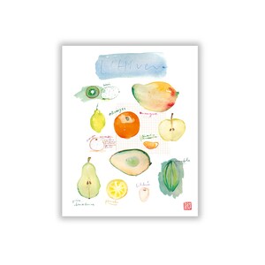Set of 4 Watercolor Fruit Prints, Seasonal Fruit Posters, Kitchen Print ...
