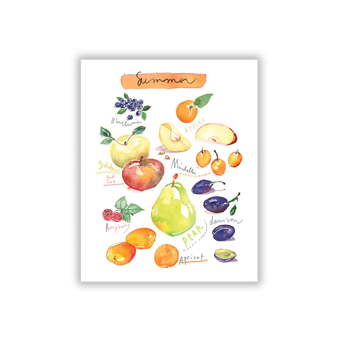 Fruits de saison Les quatre saisons Illustration aquarelle | Etsy