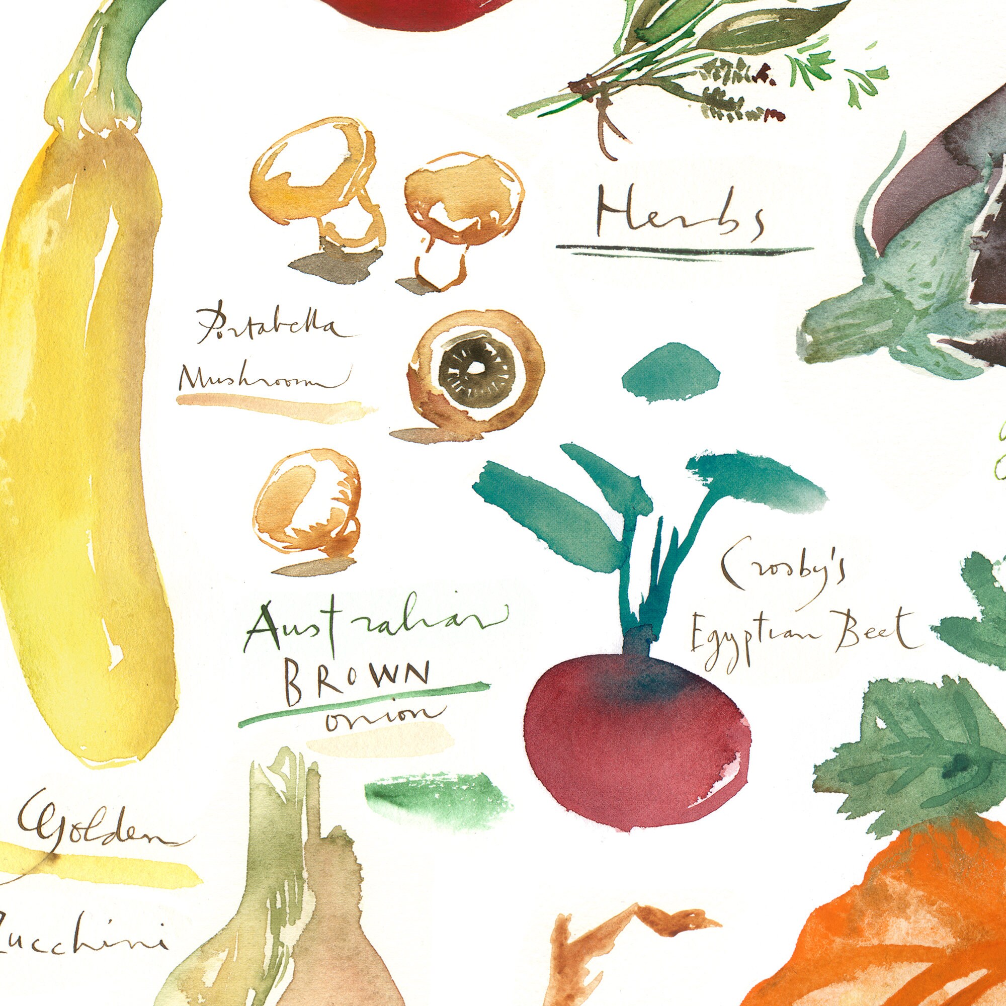 Fall vegetable art print Heirloom vegetables Watercolor - Etsy España