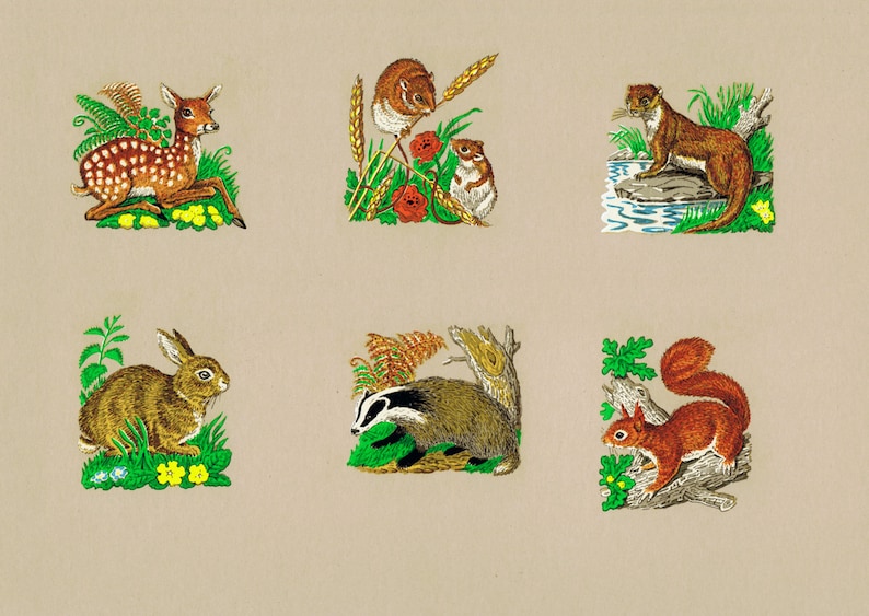 2 Sets of 6 WILD ANIMAL Transfer Decals MEDIUM Otter - Etsy