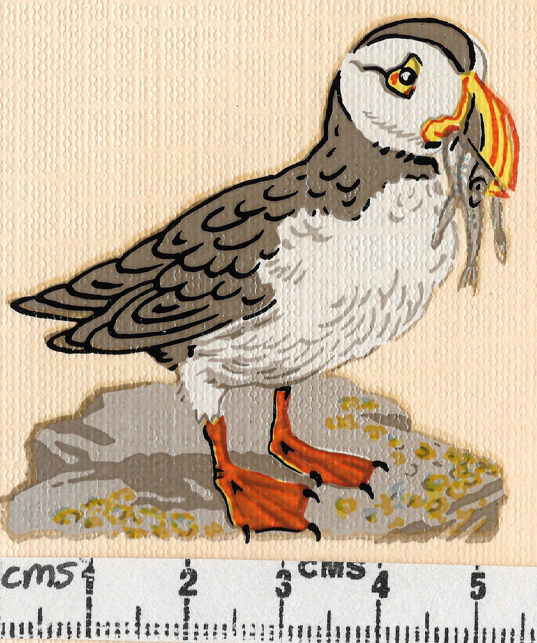 10 Puffin Decals (large) Original VINTAGE Decals Transfers Unique Hand ...