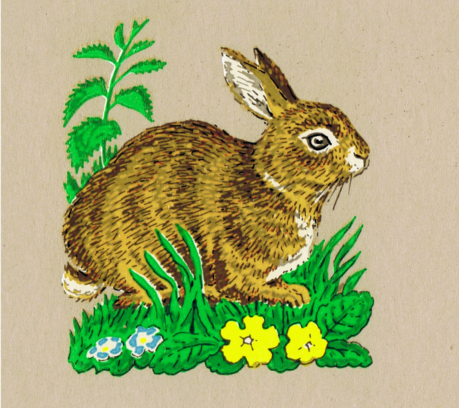 2 Sets of 6 WILD ANIMAL Transfer Decals (MEDIUM) Otter, Badger, Fawn ...