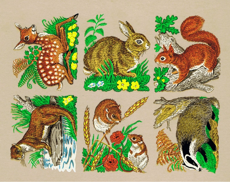 2 Sets of 6 WILD ANIMAL Transfer Decals MEDIUM Otter - Etsy