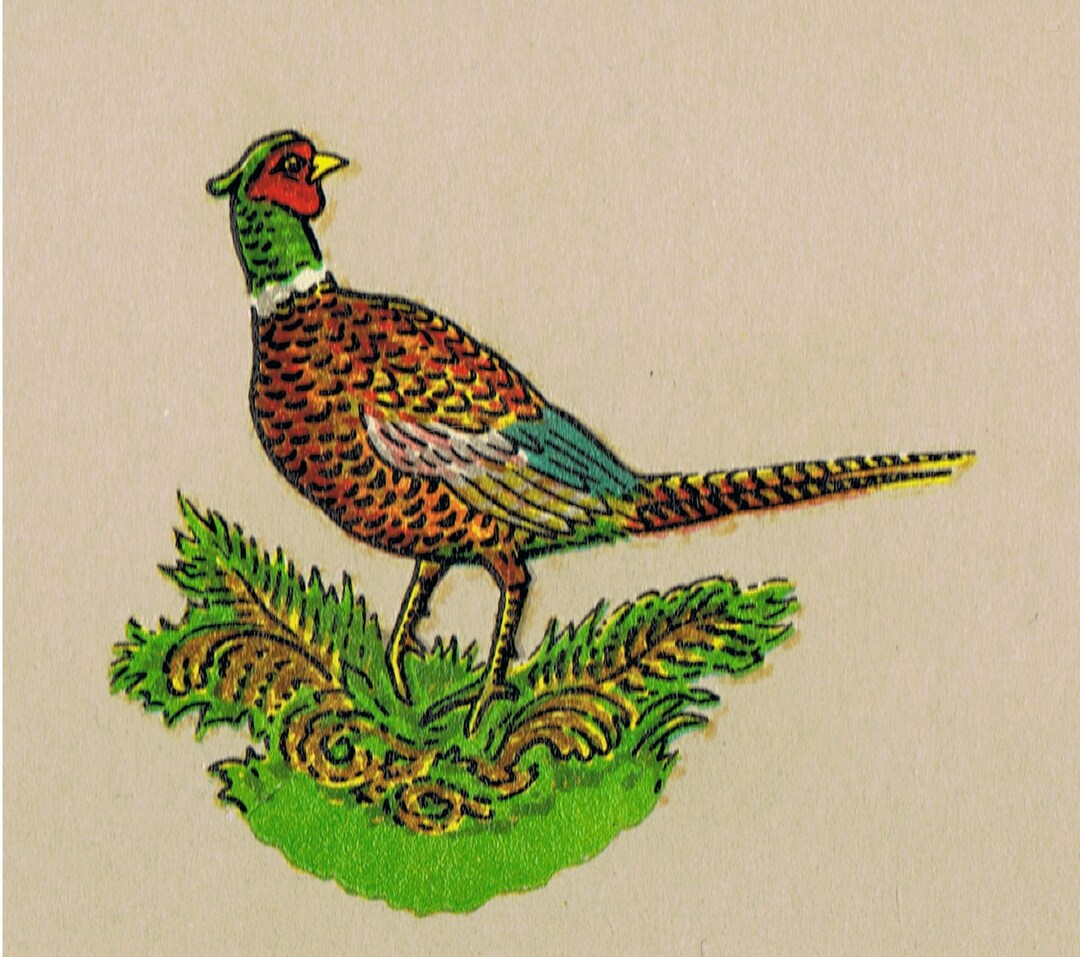 10 Pheasant Image Transfer Decals Original VINTAGE Decals Unique Hand ...