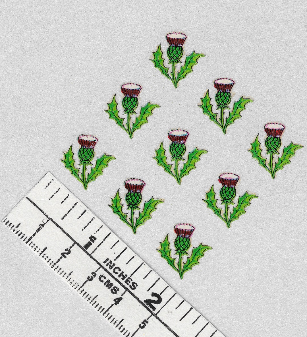 10 Purple Thistle and Leaves VINTAGE Scottish Decals Transfers Unique ...