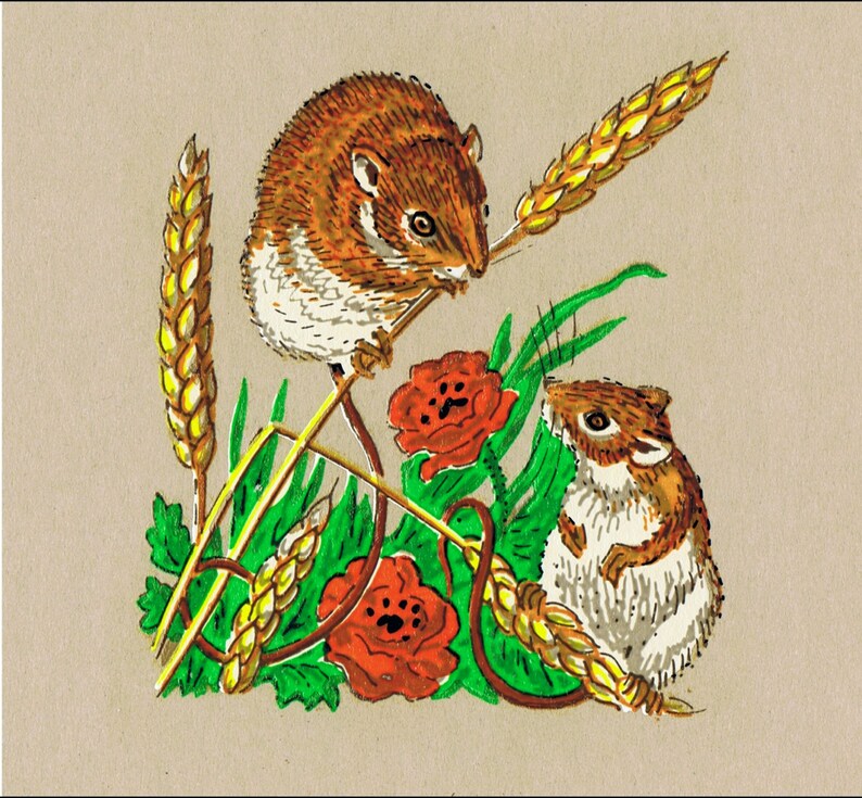 2 Sets of 6 WILD ANIMAL Transfer Decals (MEDIUM) Otter, Badger, Fawn ...