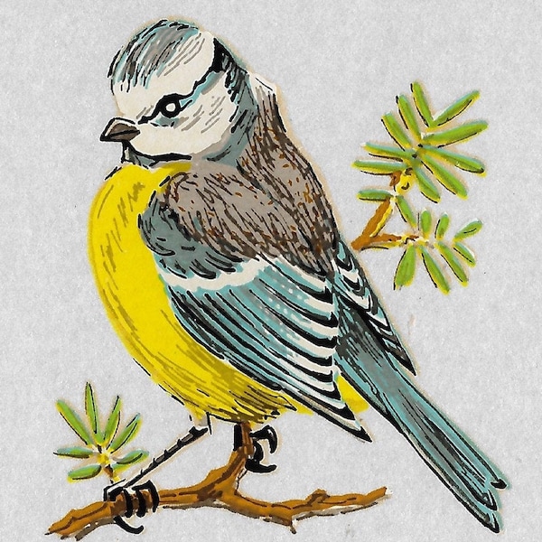 Vintage Decals - Etsy