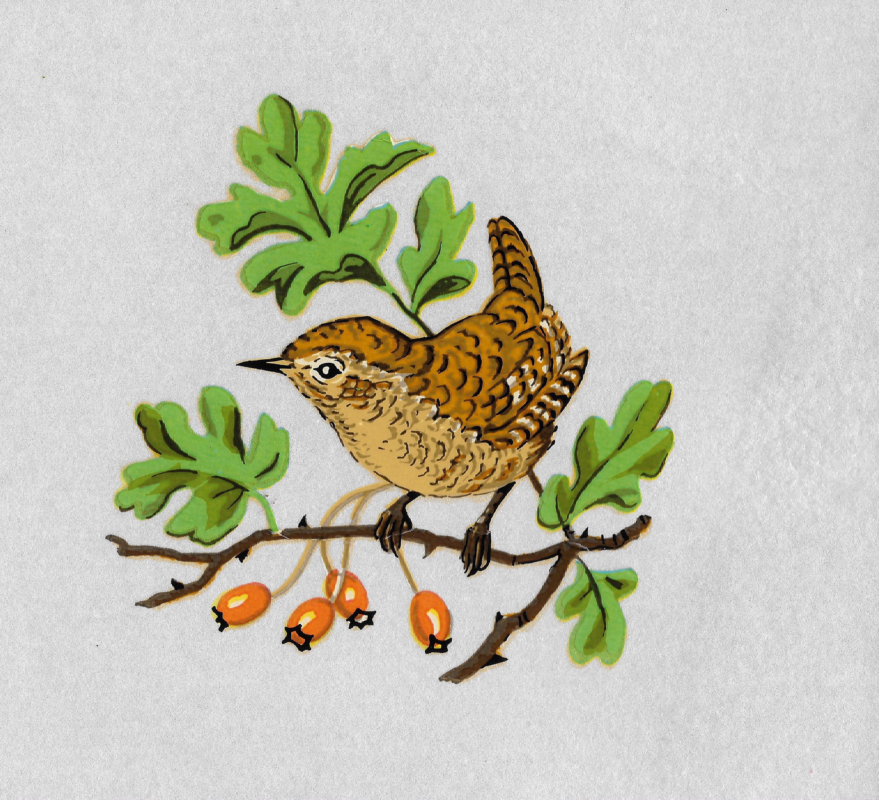 10 Wren Bird VINTAGE DECALS large Craft Image Transfers Unique Retro ...