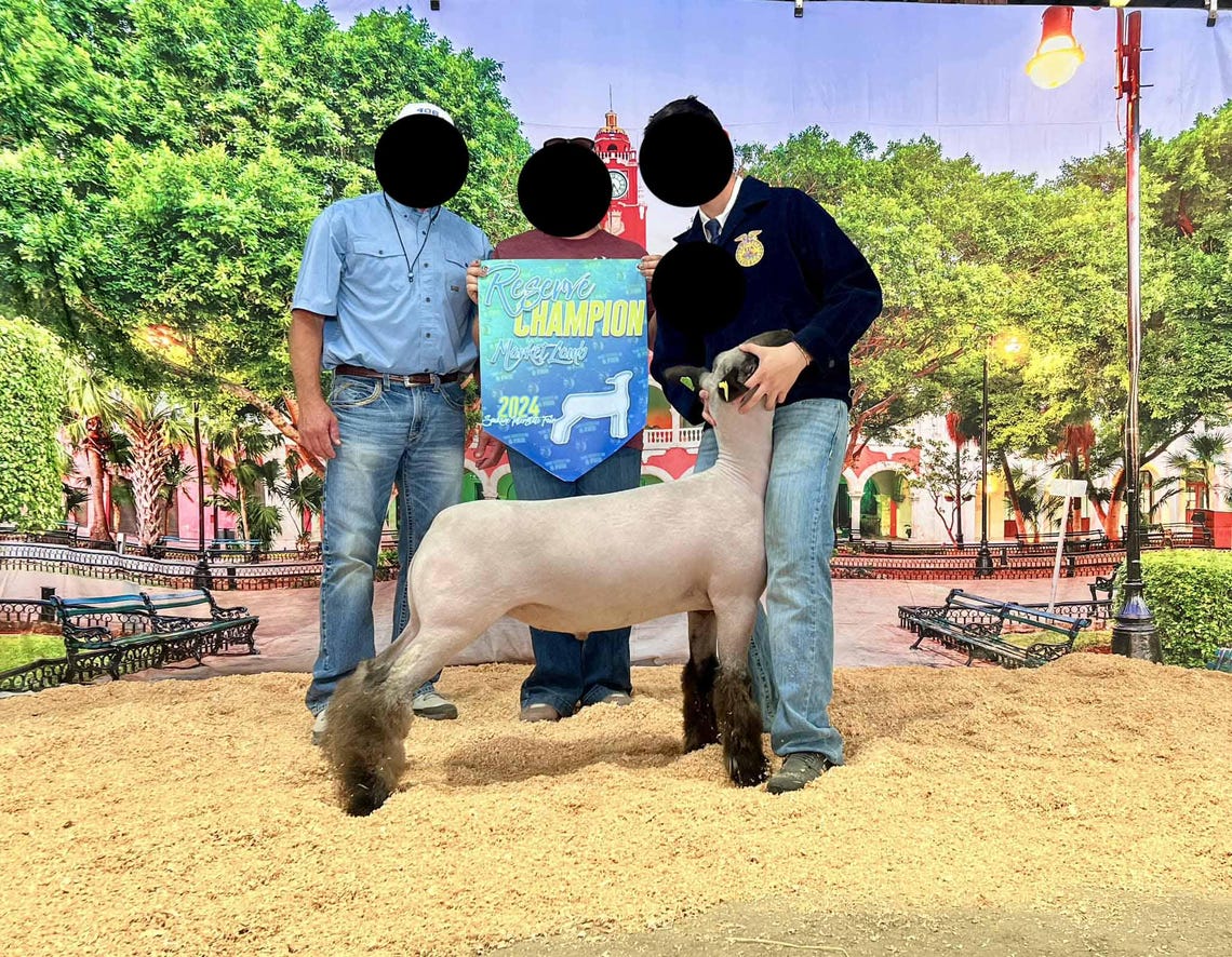 Livestock Grand Champion Showmanship Award Banner. County Fair. Jackpot ...