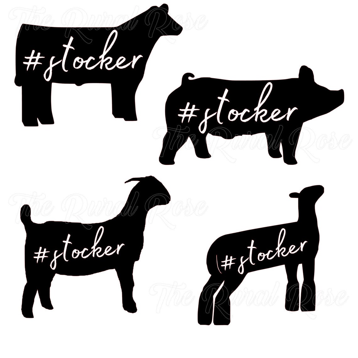 Beef. Sheep. Swine. Goat Showmanship. Champion. FFA 4-H - Etsy