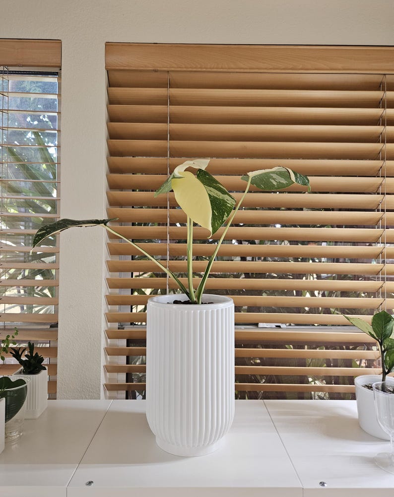 White Self Watering Planter Pot With Clear Insert - Round - Etsy