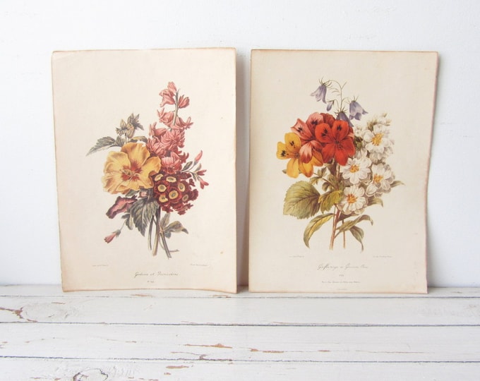 Vintage PJ Redoute Flower Prints - Etsy