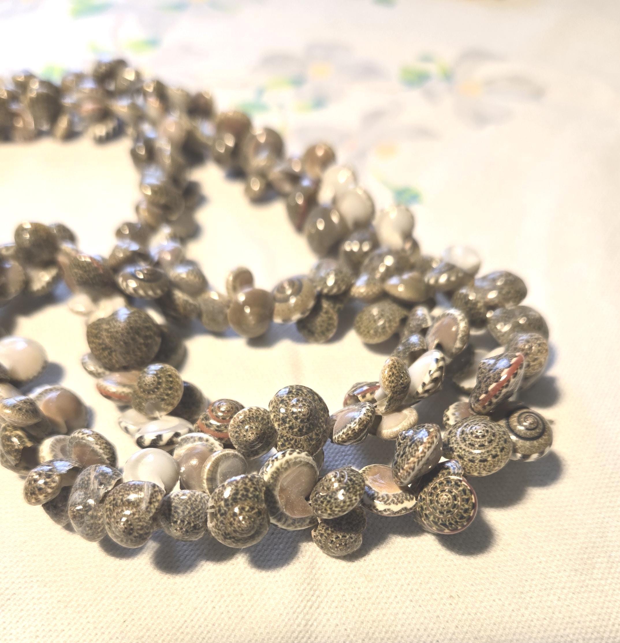 Vintage Sea Snail Shell Set of 2 Necklaces - Etsy