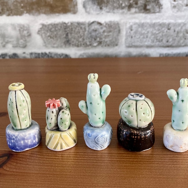 Miniature Cactus - Etsy